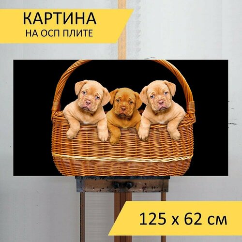 Картина на ОСП 125х62 см. "Животные, собаки, щенки" горизонтальная, для интерьера, с креплениями