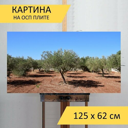 Картина на ОСП 125х62 см. "Оливковые деревья, поле, дерево" горизонтальная, для интерьера, с креплениями