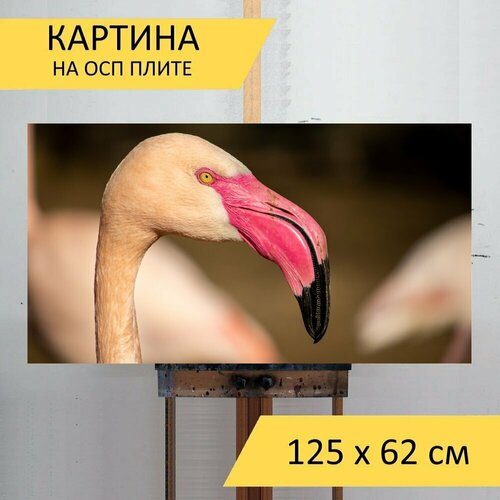 Картина на ОСП 125х62 см. "Два, фламинго, зоопарк" горизонтальная, для интерьера, с креплениями