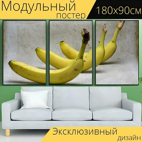 Модульный постер "Банан, биография, витамины" 180 x 90 см. для интерьера