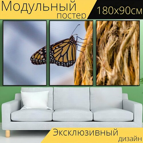 Модульный постер "Бабочка, закрывать, насекомое" 180 x 90 см. для интерьера