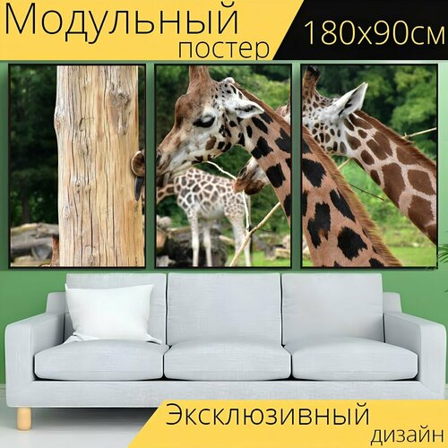 Модульный постер "Жирафа, животные, природа" 180 x 90 см. для интерьера