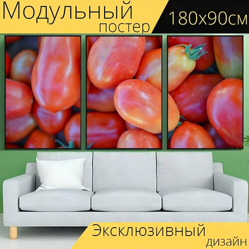 Модульный постер "Помидоры, фрукты, овощи" 180 x 90 см. для интерьера