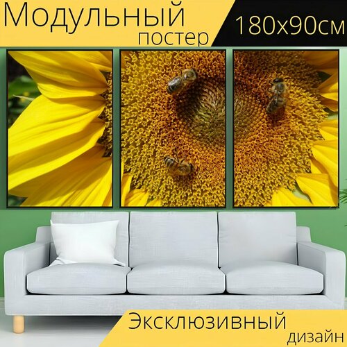 Модульный постер "Подсолнух, летом, пчелы" 180 x 90 см. для интерьера