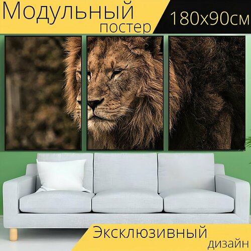 Модульный постер "Лев, хищник, опасный" 180 x 90 см. для интерьера