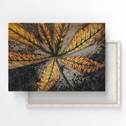 Картина на холсте, репродукция / Джули де Грааг - Chestnut leaf / Размер 40 x 53 см