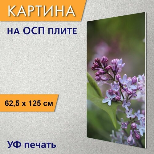 Вертикальная картина на ОСП "Цветок, весна, летом" 62x125 см. для интерьериа