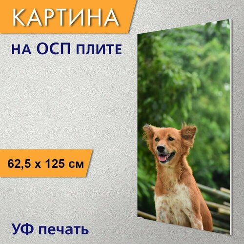 Вертикальная картина на ОСП "Собака, портрет, портрет собаки" 62x125 см. для интерьериа