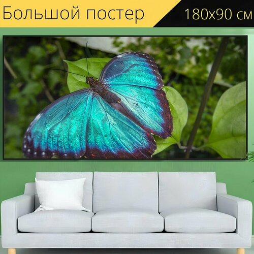 Большой постер "Бабочка, синий, насекомые" 180 x 90 см. для интерьера