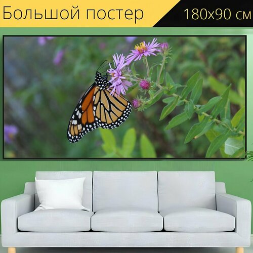 Большой постер "Бабочка, монарх, цветок" 180 x 90 см. для интерьера