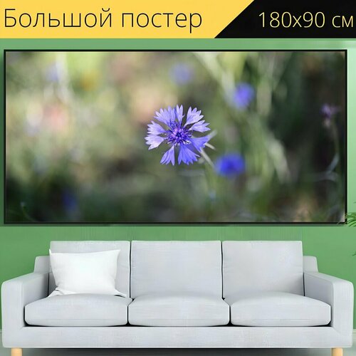 Большой постер "Васильковый, цветок, цвести" 180 x 90 см. для интерьера