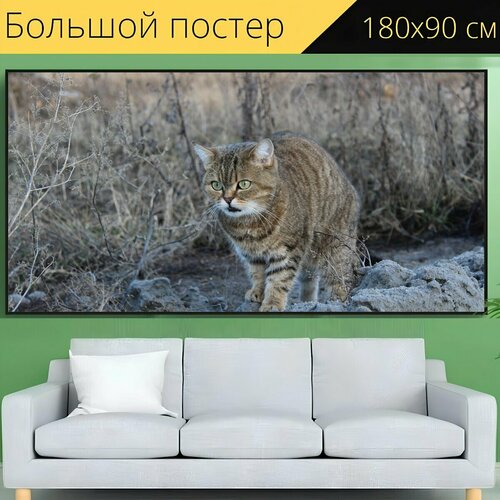Большой постер "Кошка, трава, охота" 180 x 90 см. для интерьера