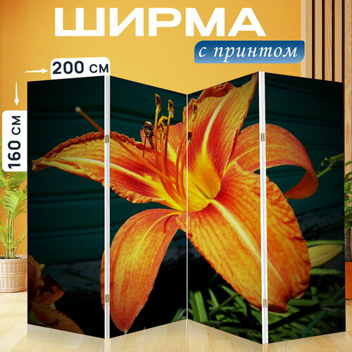 Ширма перегородка с принтом "Макро, цветок, лепестки" на холсте - 200x160 см. для зонирования, раскладная