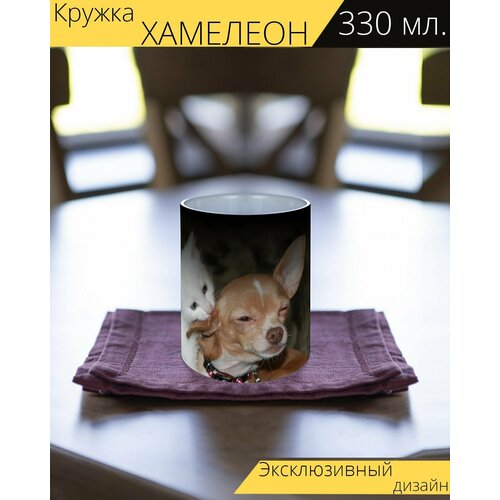Кружка хамелеон с принтом "Игра животных, собака, котик" 330 мл.