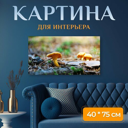 Картина на холсте "Яичный гриб, лисичка, еда" на подрамнике 75х40 см. для интерьера
