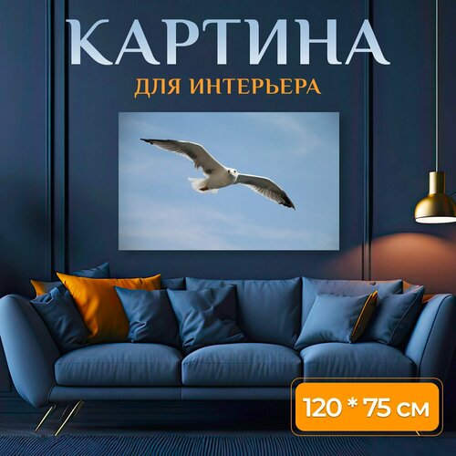 Картина на холсте "Чайка, птица, крыло" на подрамнике 120х75 см. для интерьера