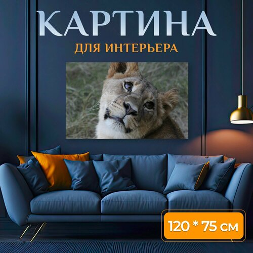 Картина на холсте "Лев, львица, дикий" на подрамнике 120х75 см. для интерьера