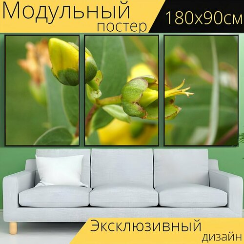 Модульный постер "Цветы, сад, весна" 180 x 90 см. для интерьера