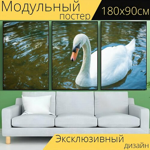 Модульный постер "Лебедь, животные, белый" 180 x 90 см. для интерьера