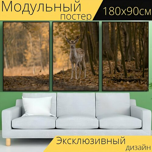 Модульный постер "Лань, животное, лес" 180 x 90 см. для интерьера