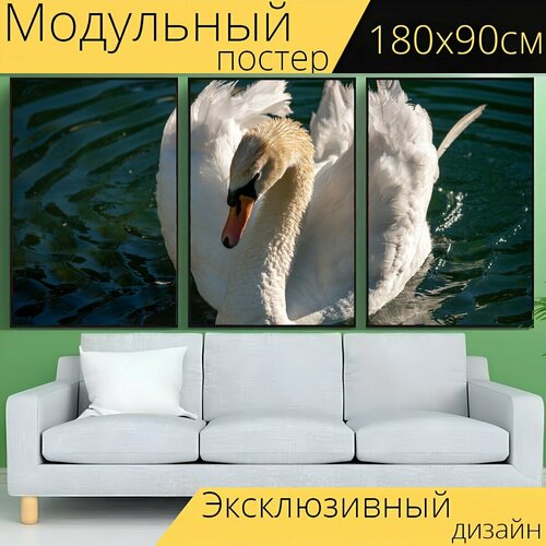 Модульный постер "Лебедь, немой лебедь, белый лебедь" 180 x 90 см. для интерьера