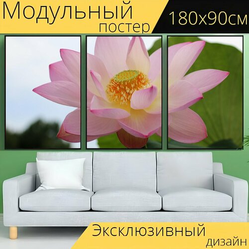 Модульный постер "Цветок лотоса, красота, природа" 180 x 90 см. для интерьера