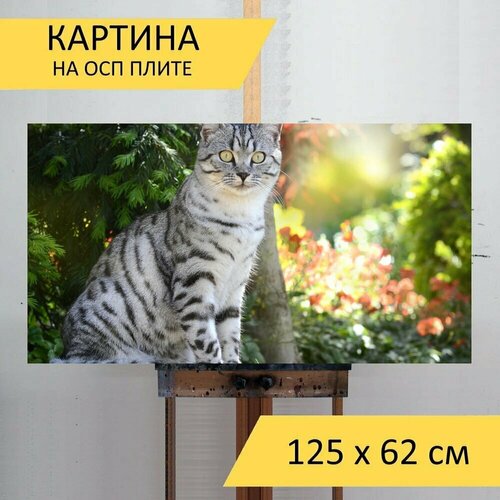 Картина на ОСП 125х62 см. "Кот, бабочка, домашняя кошка" горизонтальная, для интерьера, с креплениями