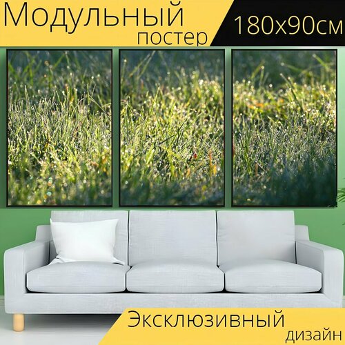 Модульный постер "Трава, утренняя роса, луг" 180 x 90 см. для интерьера
