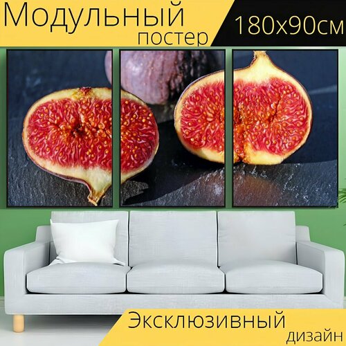 Модульный постер "Инжир, красный трус, фрукты" 180 x 90 см. для интерьера