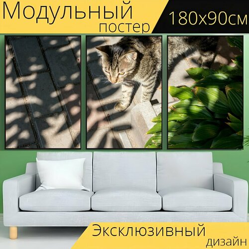 Модульный постер "Тень, кошка, животное" 180 x 90 см. для интерьера