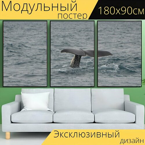 Модульный постер "Норвегия, природа, кит" 180 x 90 см. для интерьера