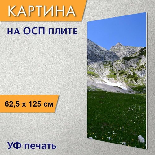 Вертикальная картина на ОСП "Альпы, альпийский луг, луг" 62x125 см. для интерьериа
