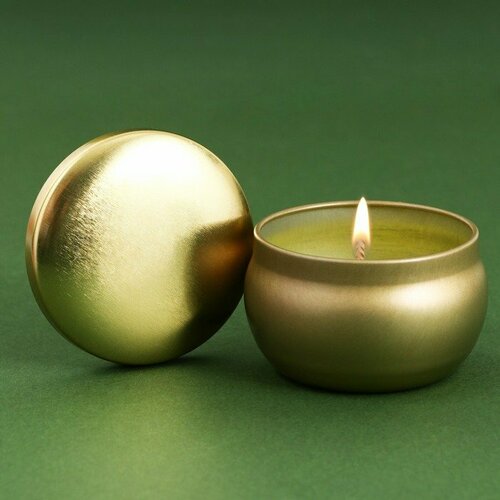 Свеча в цветной жестяной банке «Богатство», аромат ваниль, 6 х 6 х 4 см (комплект из 10 шт)