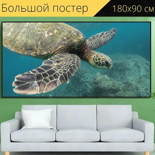 Большой постер "Животное, черепаха, коралловый риф" 180 x 90 см. для интерьера