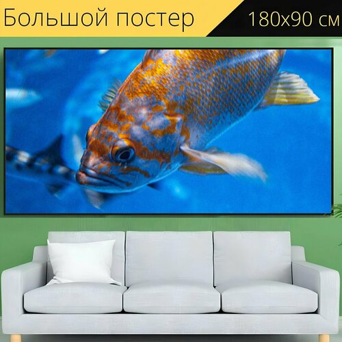 Большой постер "Рыбы, апельсин, синий" 180 x 90 см. для интерьера