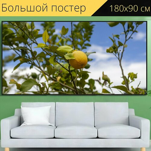 Большой постер "Лимон, фрукты, витамины" 180 x 90 см. для интерьера