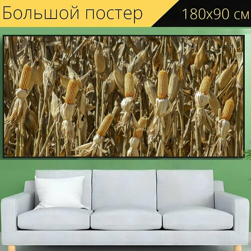 Большой постер "Кукуруза, кукурузное поле, ферма" 180 x 90 см. для интерьера