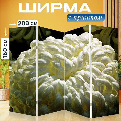 Ширма перегородка с принтом "Хризантемы, цветы, осень" на холсте - 200x160 см. для зонирования, раскладная