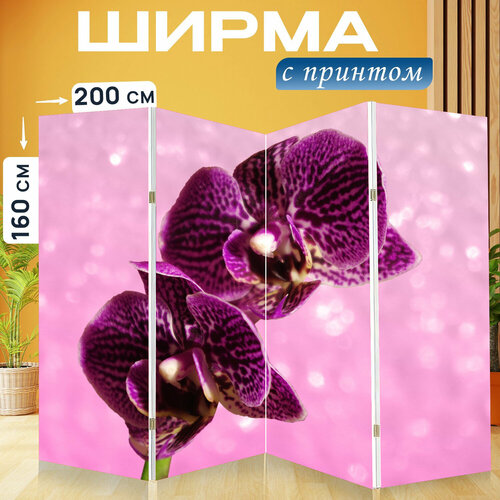 Ширма перегородка с принтом "Орхидея, цветок, завод" на холсте - 200x160 см. для зонирования, раскладная