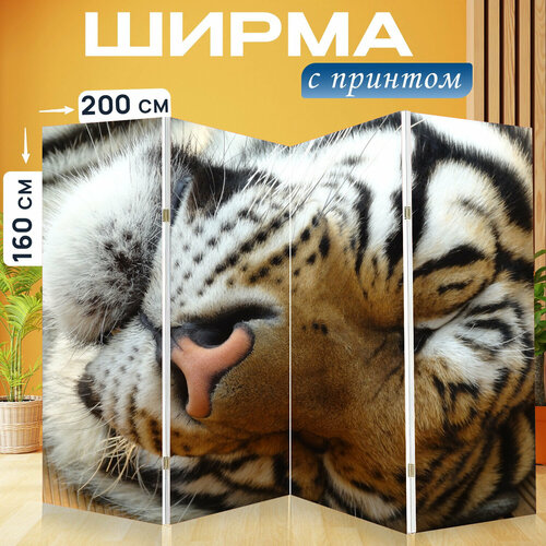 Ширма перегородка с принтом "Тигр, животные, желтый" на холсте - 200x160 см. для зонирования, раскладная
