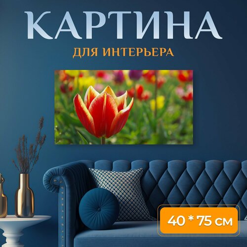 Картина на холсте "Цветы, тюльпаны, лепестки" на подрамнике 75х40 см. для интерьера