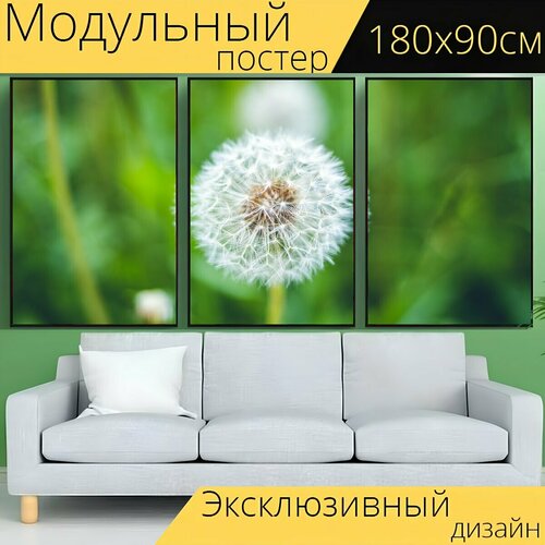 Модульный постер "Одуванчик, цветок, макрос" 180 x 90 см. для интерьера