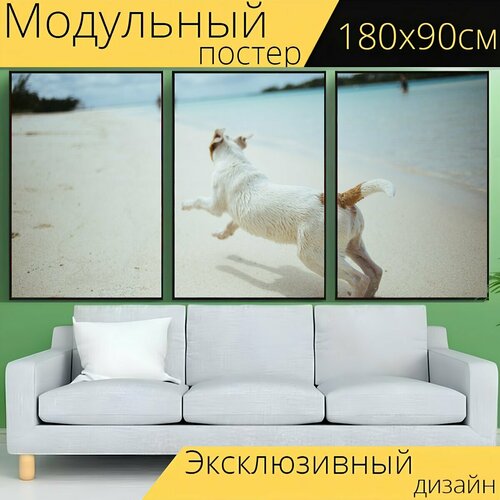 Модульный постер "Собака, домашний питомец, животные" 180 x 90 см. для интерьера