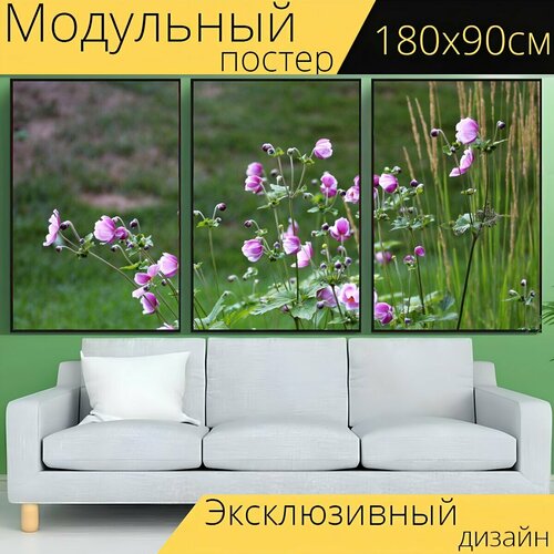 Модульный постер "Цветы, анемон, сад" 180 x 90 см. для интерьера