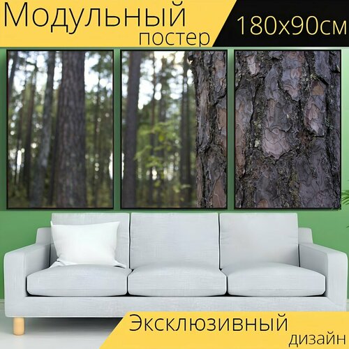 Модульный постер "Лаять, сосна, лес" 180 x 90 см. для интерьера
