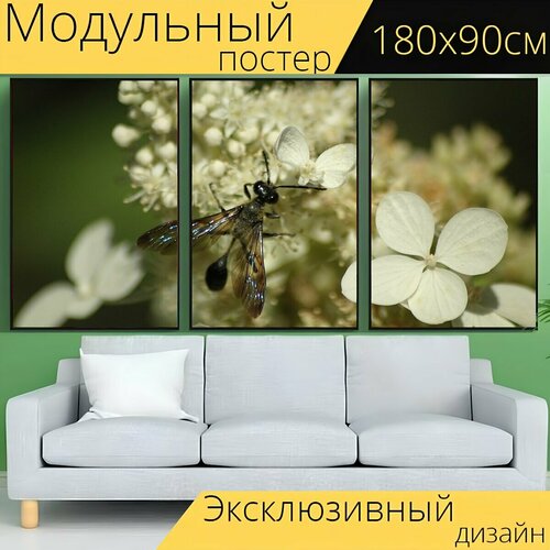 Модульный постер "Черная оса, белые цветы, насекомое" 180 x 90 см. для интерьера
