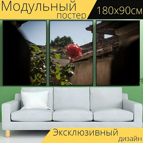 Модульный постер "Цветок, завод, роза" 180 x 90 см. для интерьера
