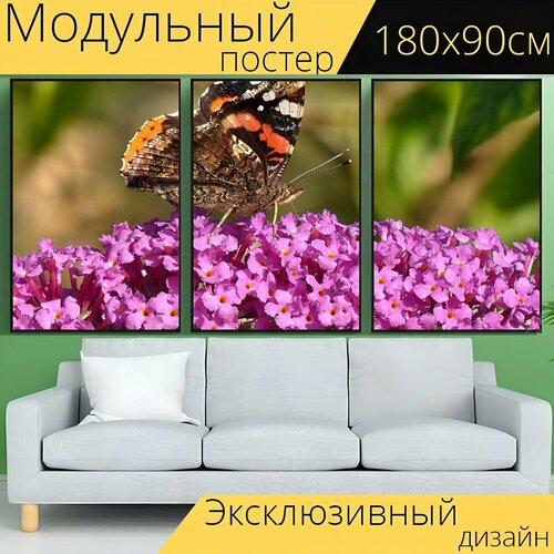Модульный постер "Животное, насекомое, бабочка" 180 x 90 см. для интерьера