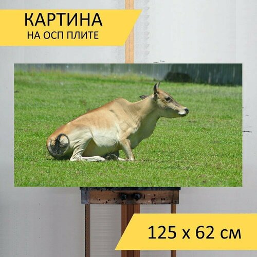 Картина на ОСП 125х62 см. "Корова, млекопитающее, животное" горизонтальная, для интерьера, с креплениями