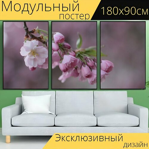 Модульный постер "Цветок, весна, розовый" 180 x 90 см. для интерьера